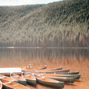 Vail Resorts Meet Disney Magic: The Inside Scoop on the Big Acquisition ...