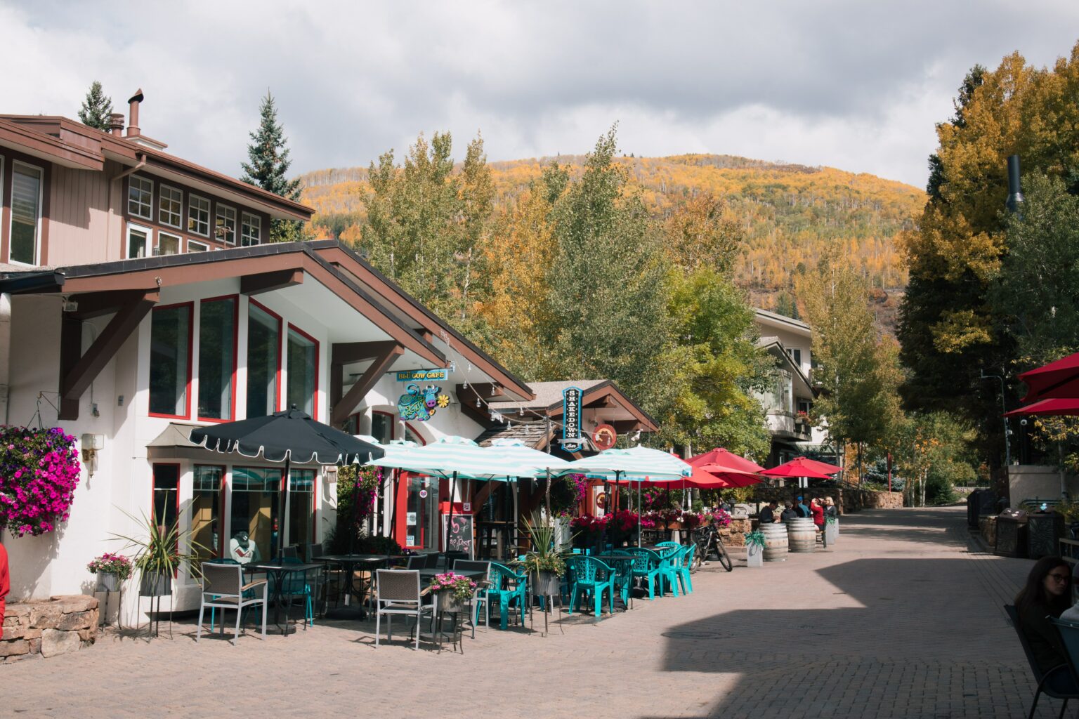 Vail Resorts Meet Disney Magic: The Inside Scoop on the Big Acquisition ...