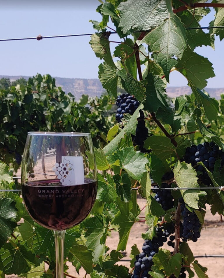 Exploring Colorado’s Wine Country – orindazone.com