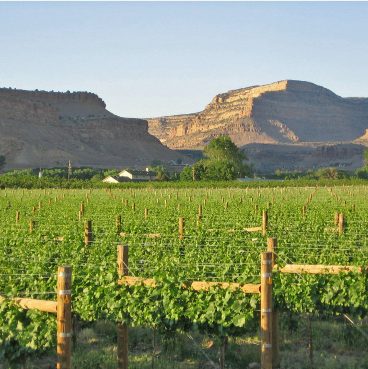 Exploring Colorado’s Wine Country – orindazone.com